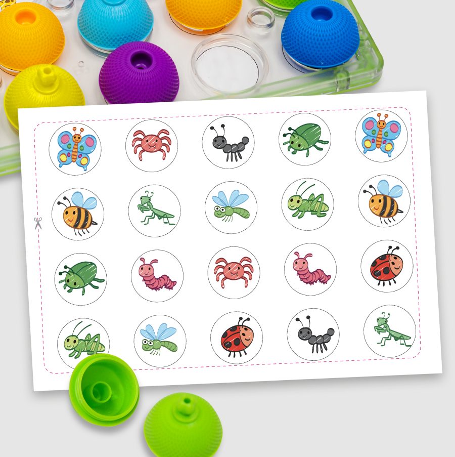 Jeu mémory - Les insectes - Lalaboom